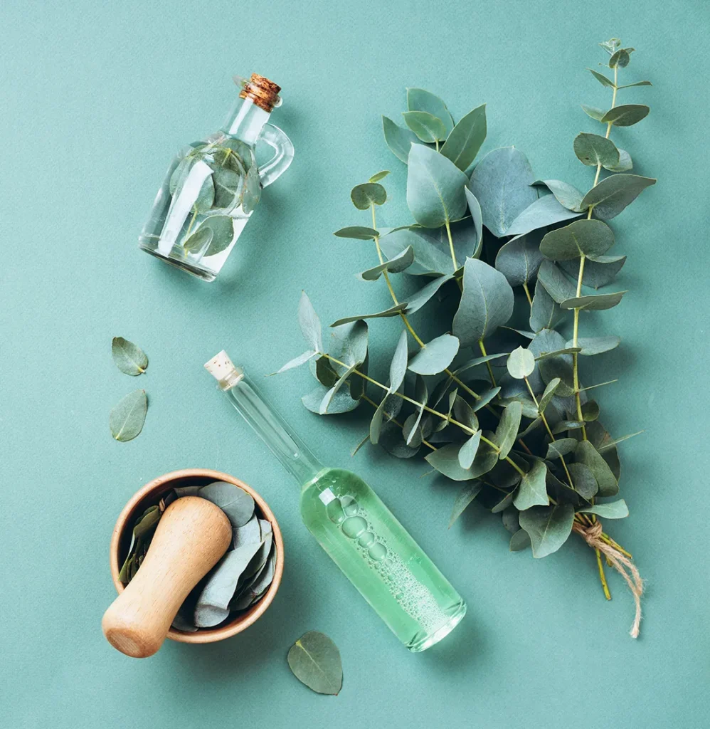 Archives: Testing - Practical Naturopathy